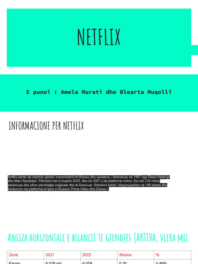 Netflix | PDF