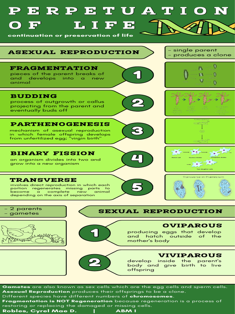 Perpetuation of Life - Infographics PDF | PDF