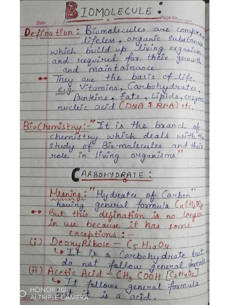 Biomolecules - Full Notes Till 29 September | PDF