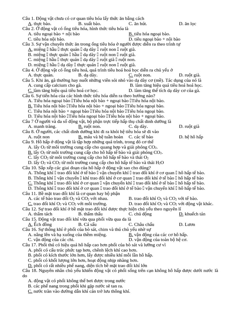 SH11 ĐỀ CƯƠNG CUỐI HKI 1 | PDF