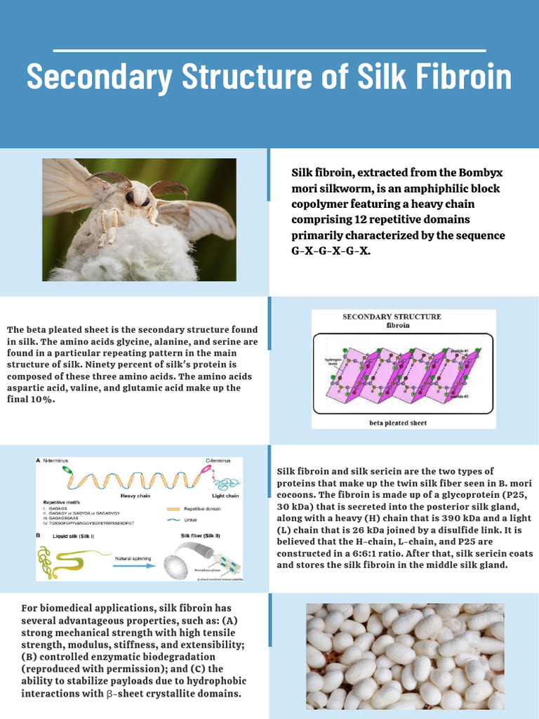 C062-Secondary Structure of Silk Fibroin | PDF