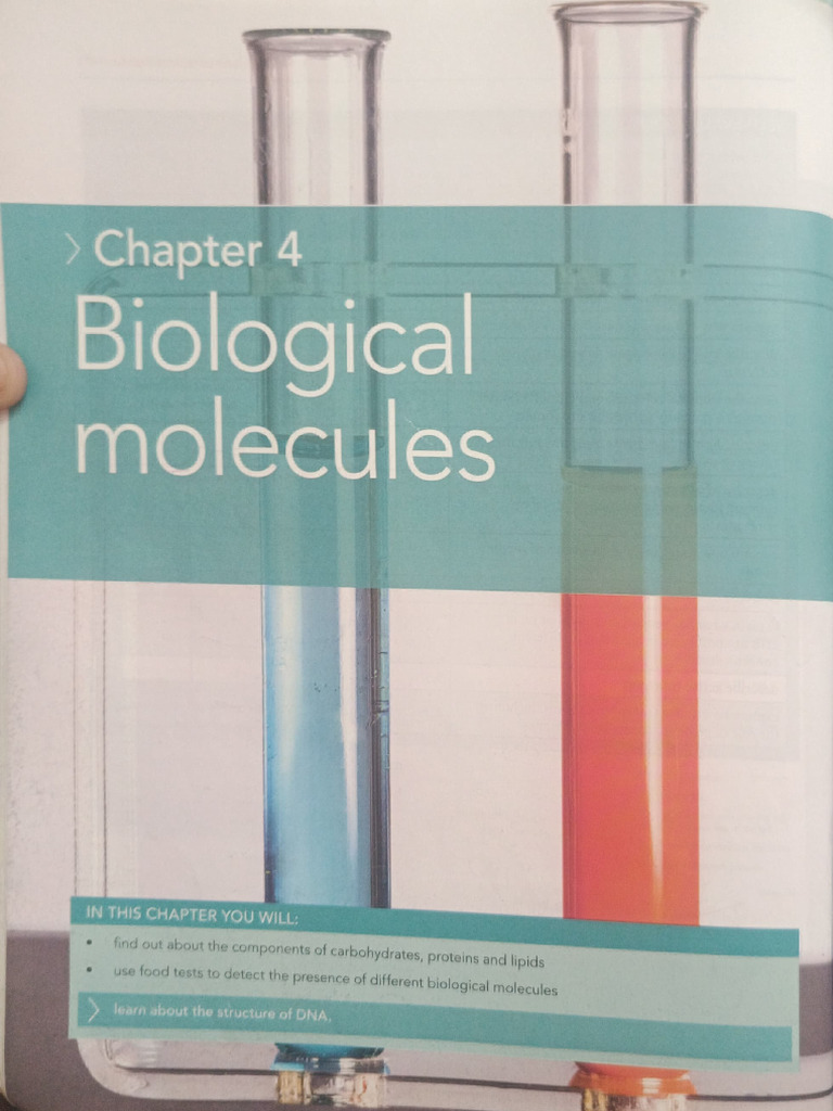 Hodder Education Class 10 Bio Guide | PDF