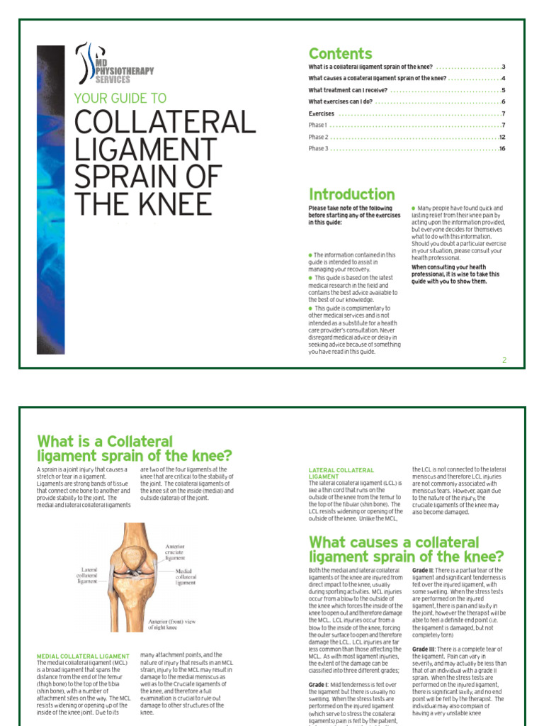 Knee Collateral Ligaments Injury Min | PDF | Knee | Joints