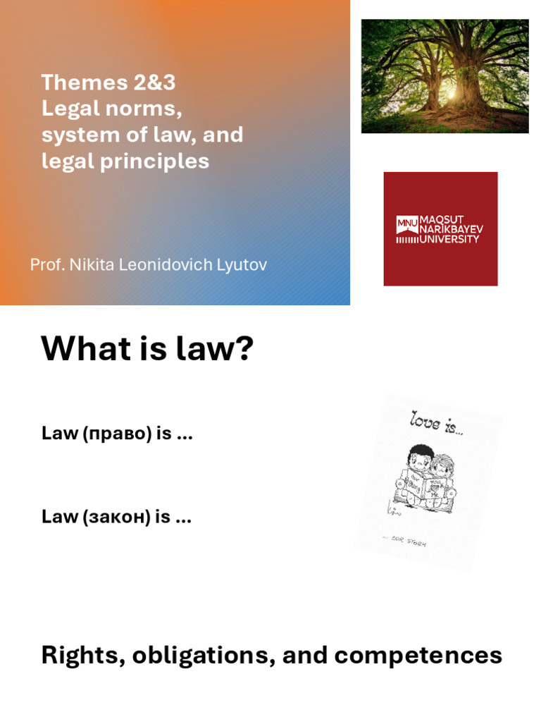 2-3 Legal Norms, System and Principles of Law (COMPLETE) | PDF ...