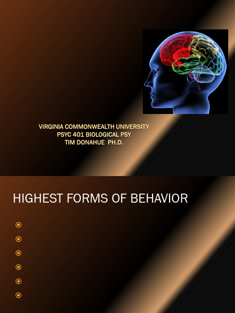 401 Ch 13 Cognitive Functions Dr. D Kalat 12e 2020 Full Color Slides (2 ...