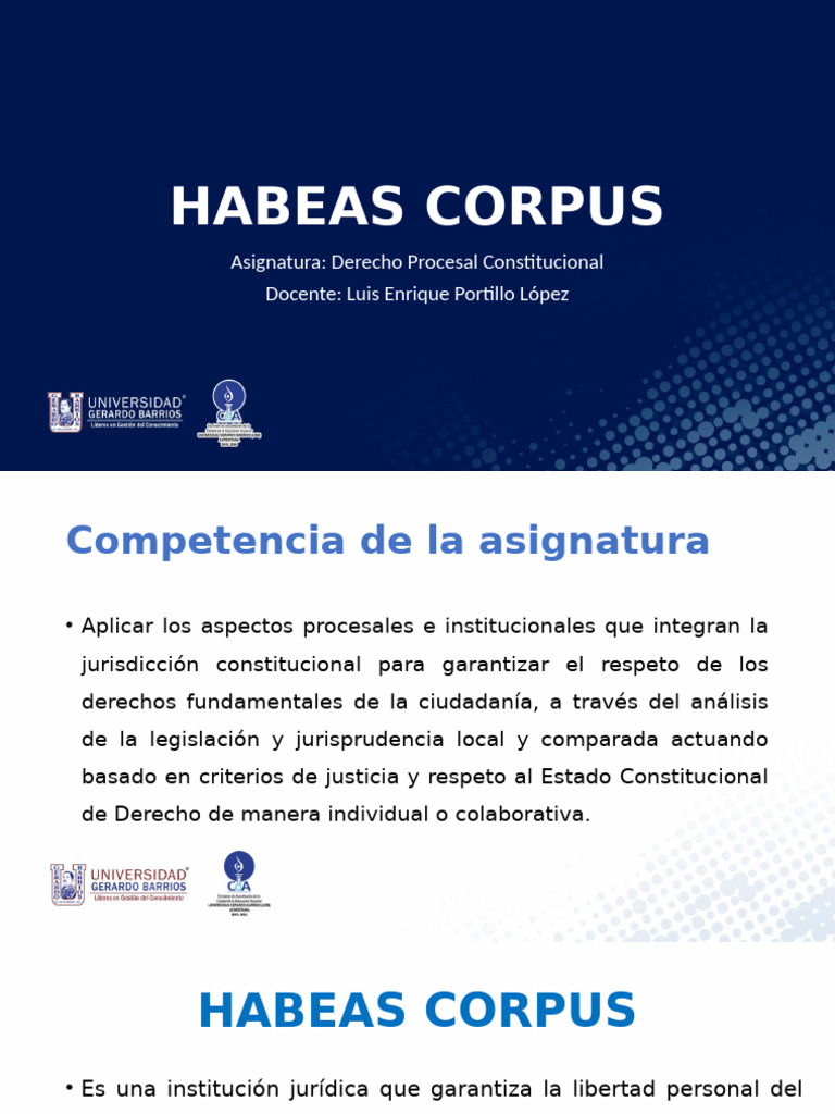 Tipos y Proceso de Hábeas Corpus | PDF | Habeas corpus | Derecho ...
