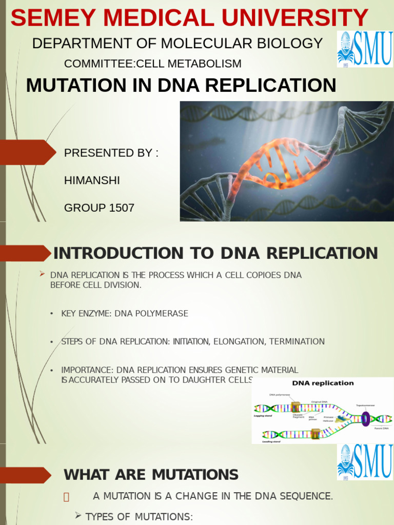 Mutation in Dna Replicate 3 | PDF | Dna Repair | Mutation
