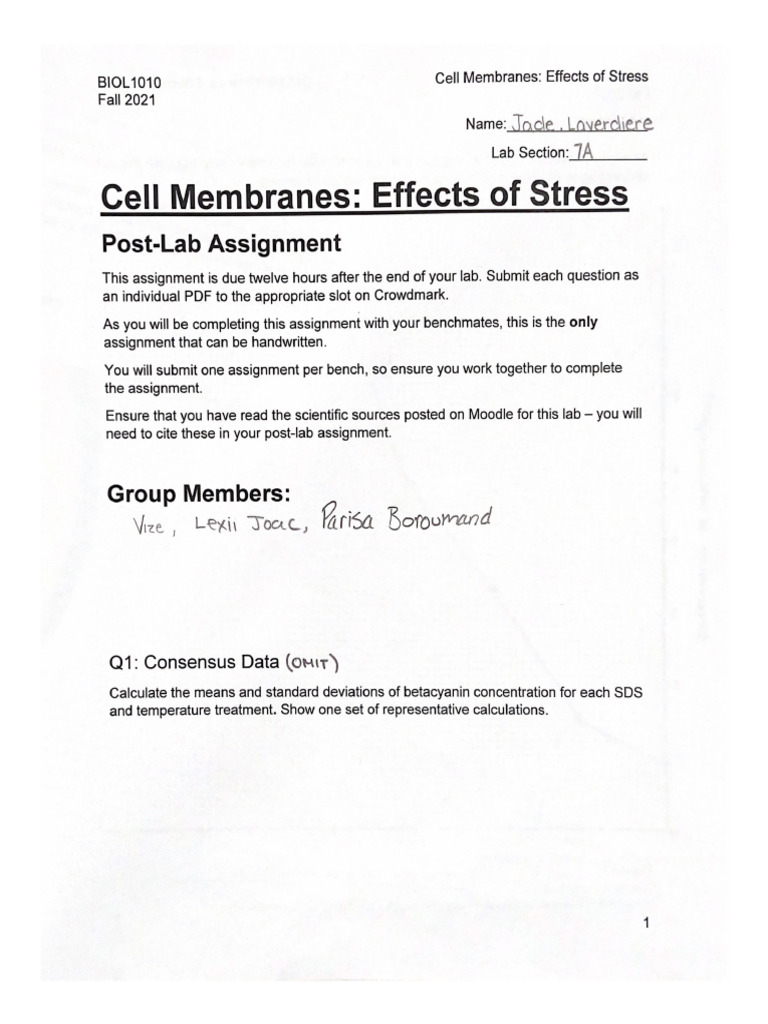 Cell Membranes-Effects of Stress Lab | PDF