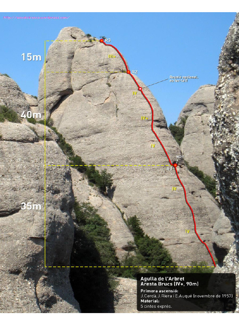 Agulla Arbret Cerda Riera | PDF