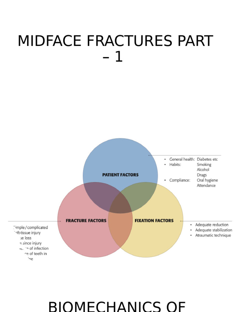 Midface Fractures: Biomechanics Overview | PDF