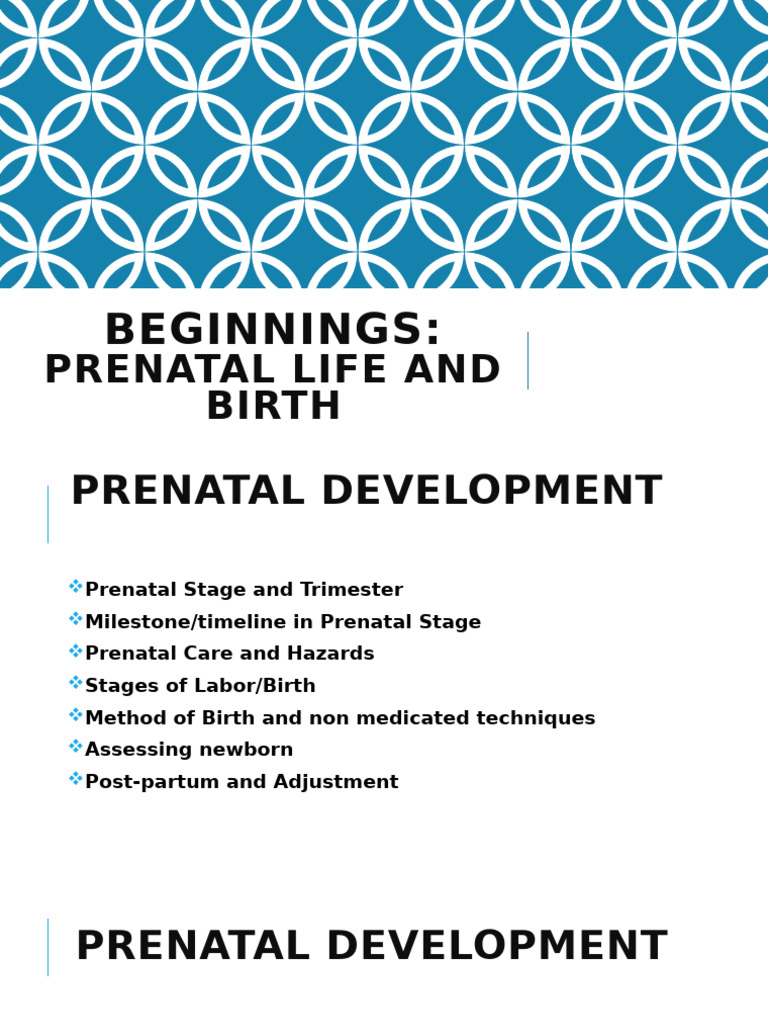 3 Prenatal Development Part 1 27092024 105923pm | PDF | Prenatal ...