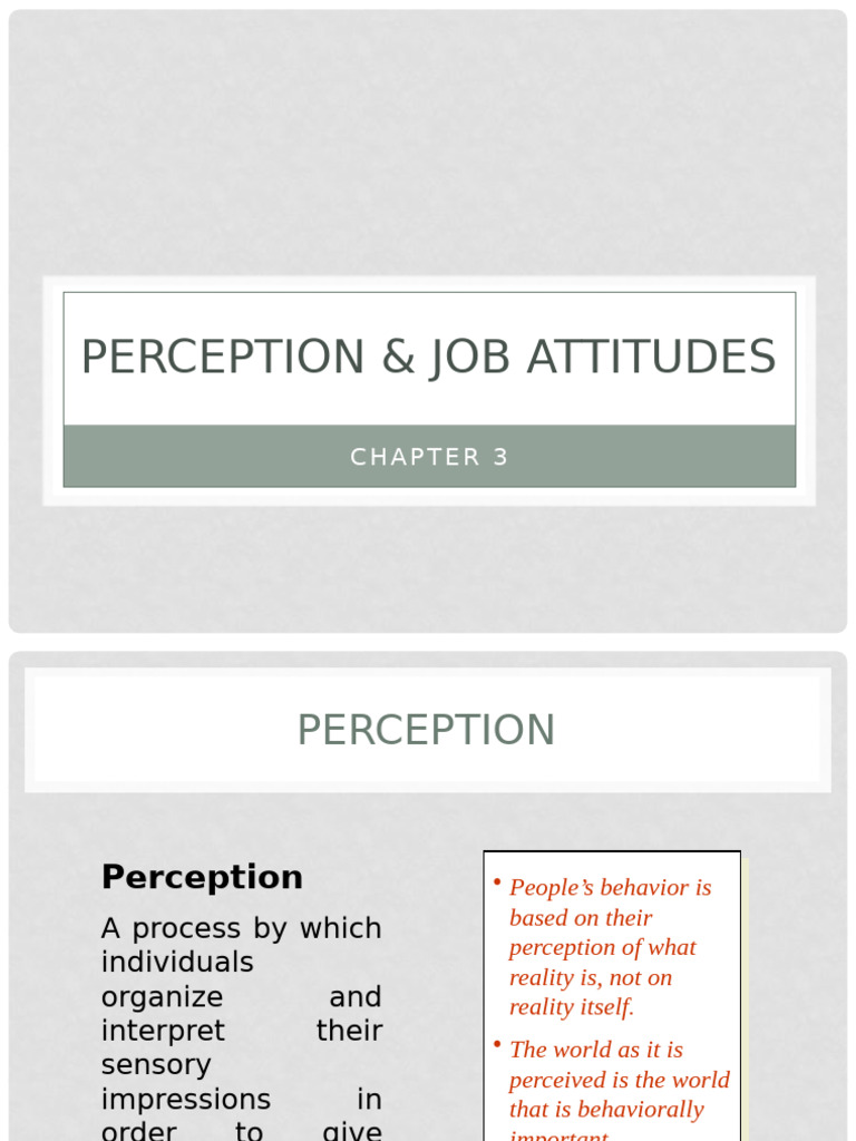 Chapter 3 - Perception & Job Attitdues | PDF | Attitude (Psychology) | Job Satisfaction