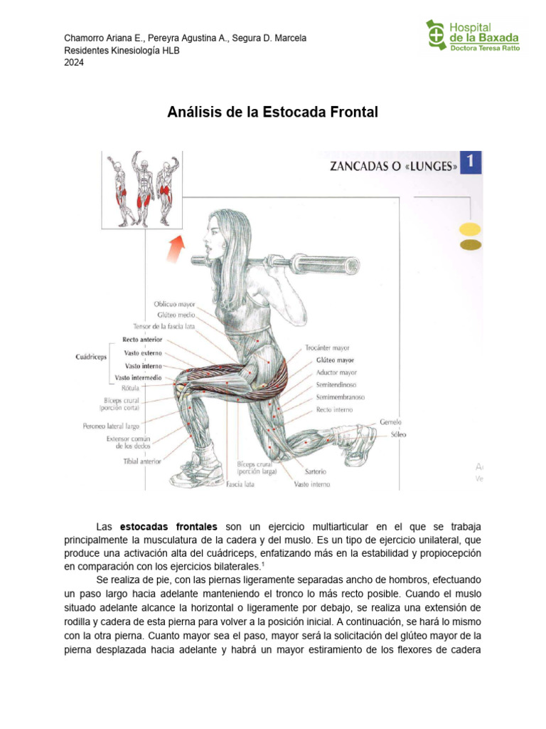 Estocadas | PDF | Rodilla | Anatomía del miembro inferior