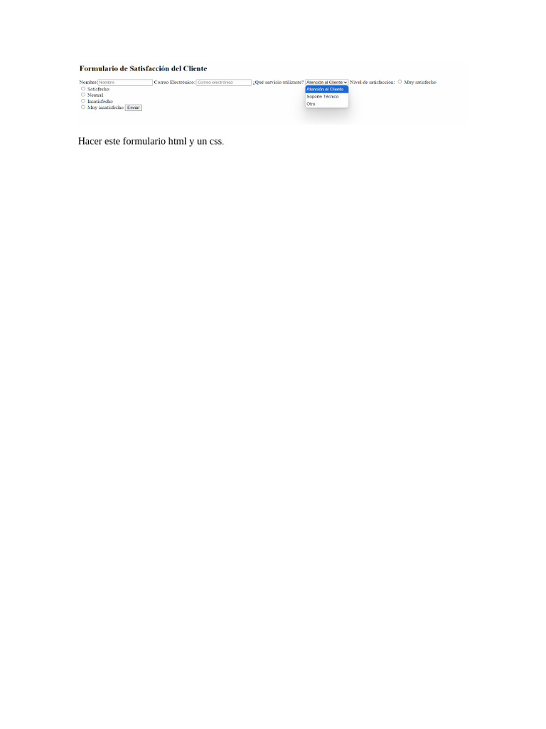 Ejercicio Formulario Satisfaccion | PDF