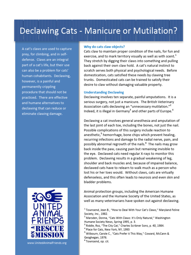 Cat Declawing Cats | PDF | Cats