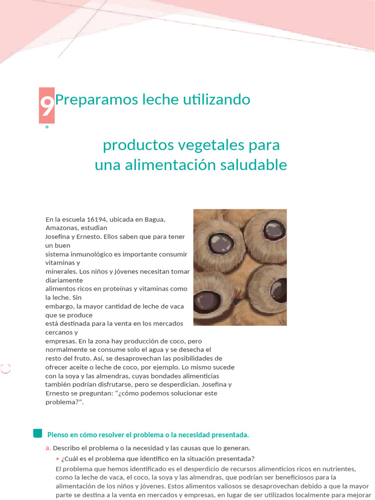 Leches Vegetales | PDF | Alimentos | Leche