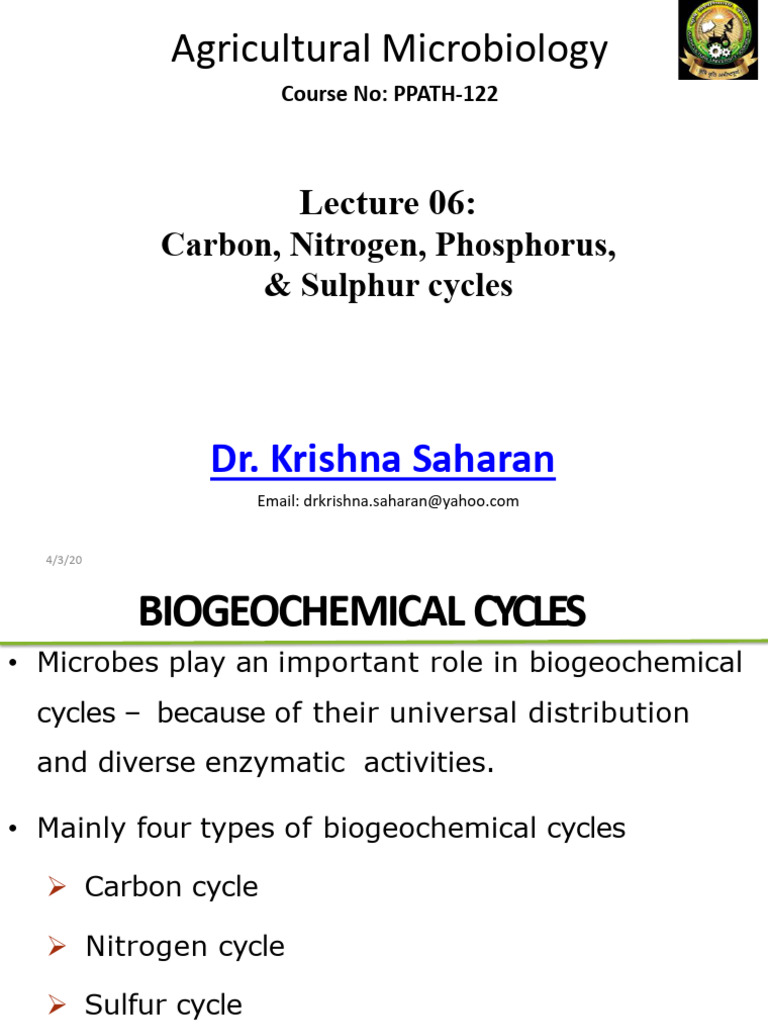 Biogeochemical Cycles: Carbon, Nitrogen, Phosphorus, Sulfur | PDF ...