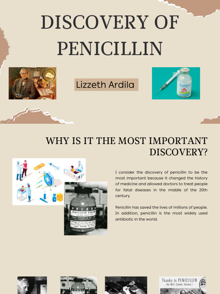 Discovery of Penicillin | PDF