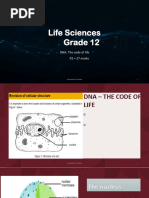 Gr.12 Human Reproduction Test Questions | PDF | Luteinizing Hormone ...