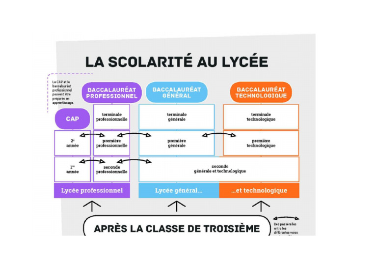 Schéma Orientation Rentrée | PDF