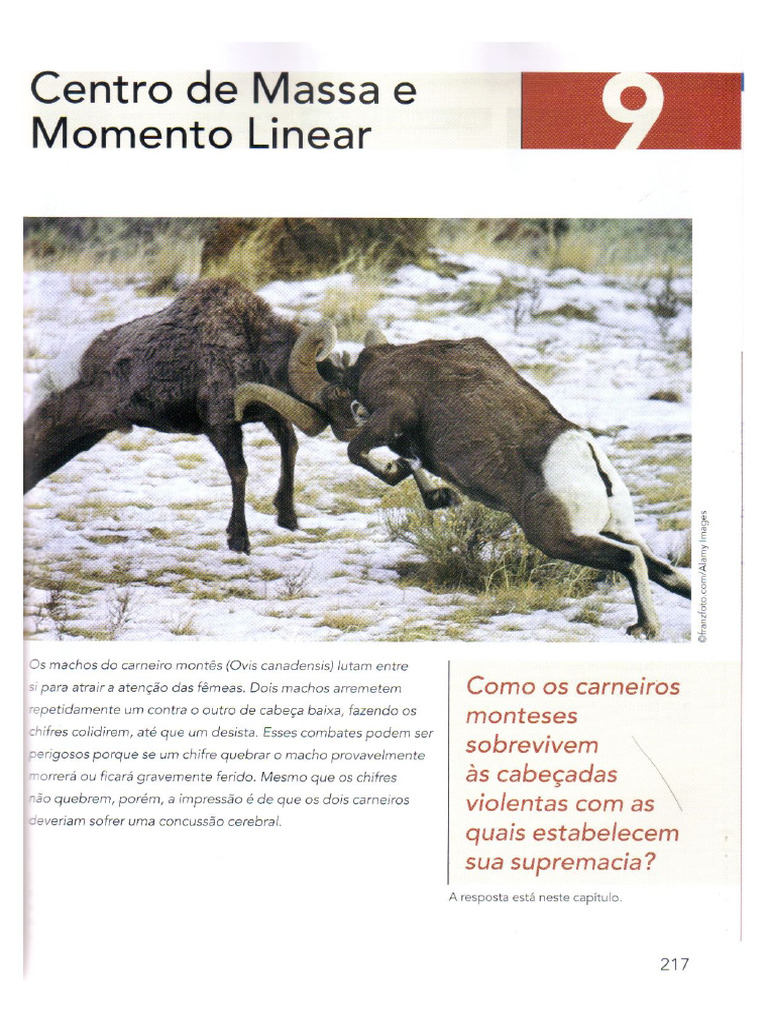 Cap 9 Halliday | PDF