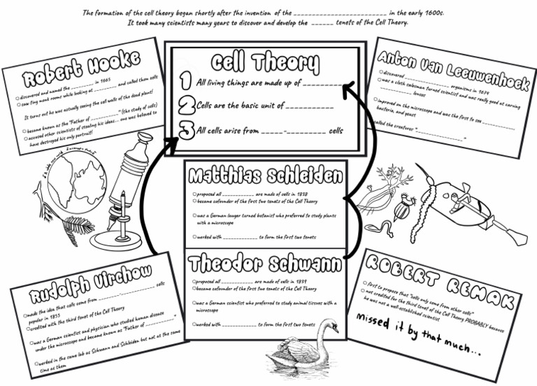 Cell - Theory Doodle Notes | PDF