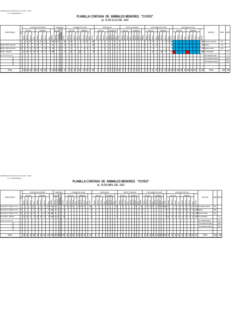 Planilla Cuyes Modificado | PDF