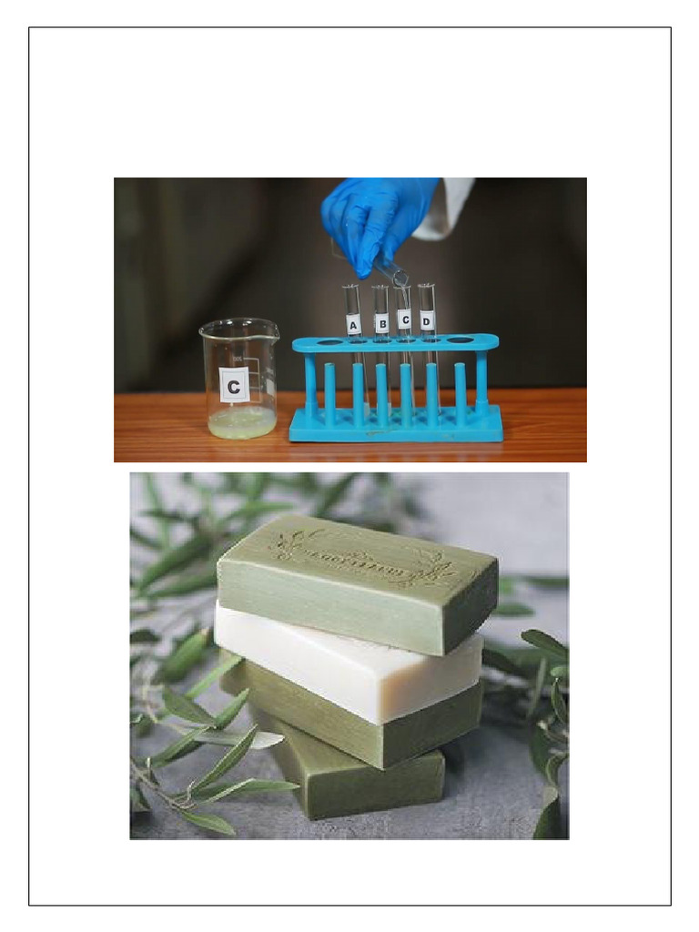 Adrit Soap Project (2) | PDF | Soap | Solubility
