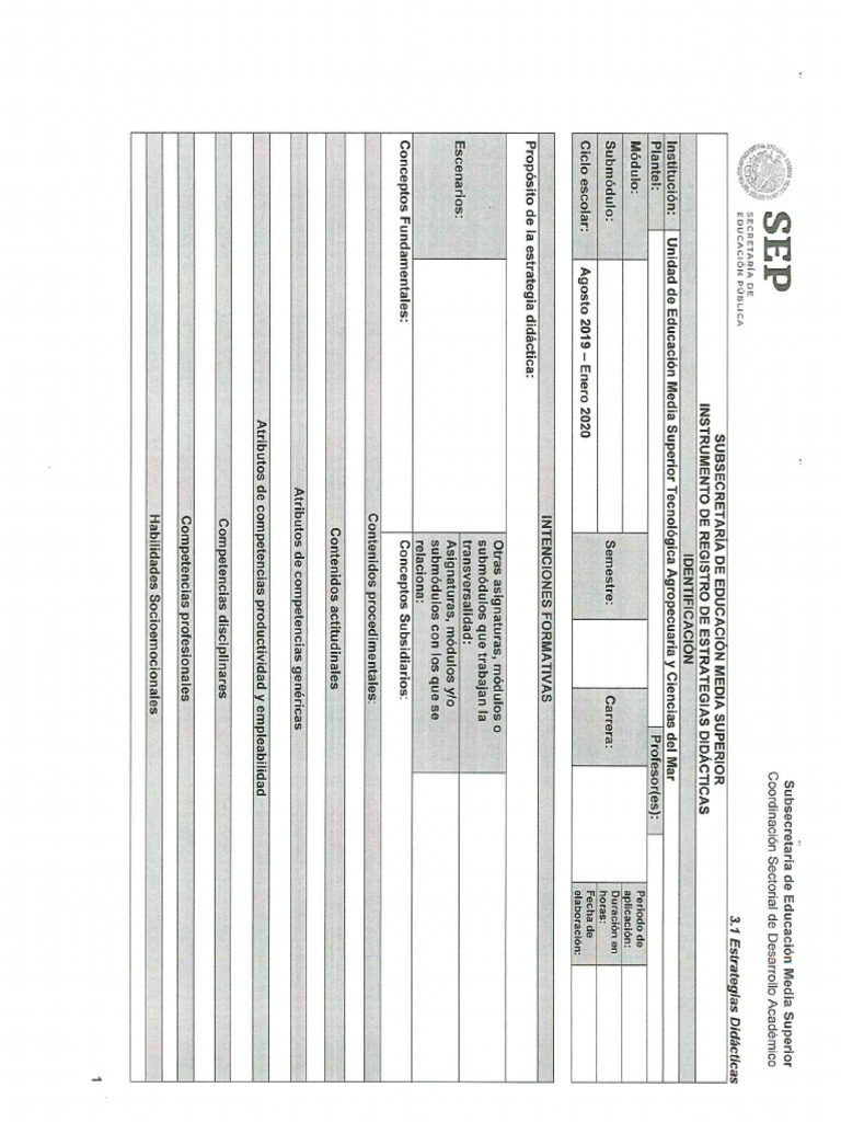 Formato Modulo Profesional Dgetaycm | PDF
