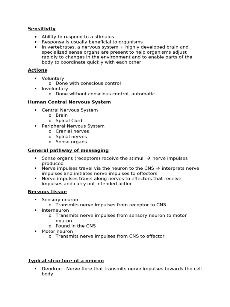 Nervous System (Memory) | PDF | Nerve | Axon