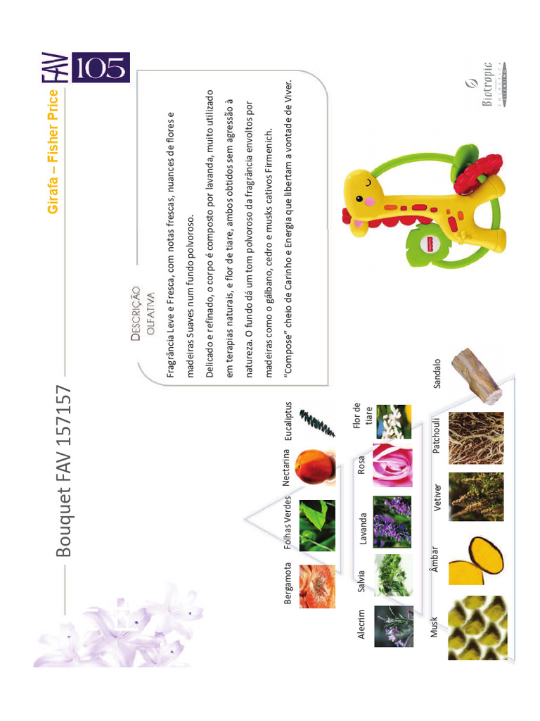 Fisher Price - Girafa - Piramide Olfativa - FAV 157157 | PDF