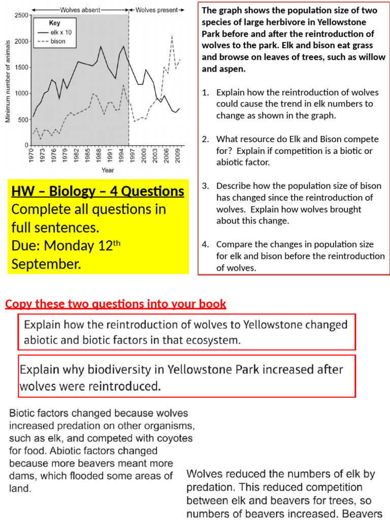 Yellowstone HW | PDF