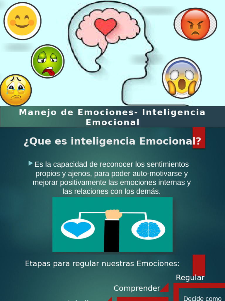 Manejo de Emociones - Inteligencia Emocional | PDF