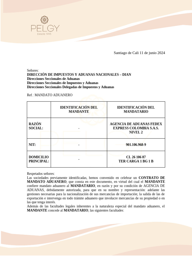 Mandato Aduanero: Contrato y Obligaciones | PDF | aduana | El comercio ...
