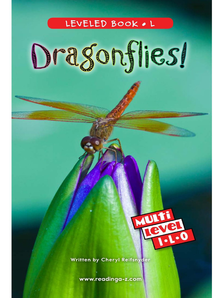 Dragonflies! | PDF