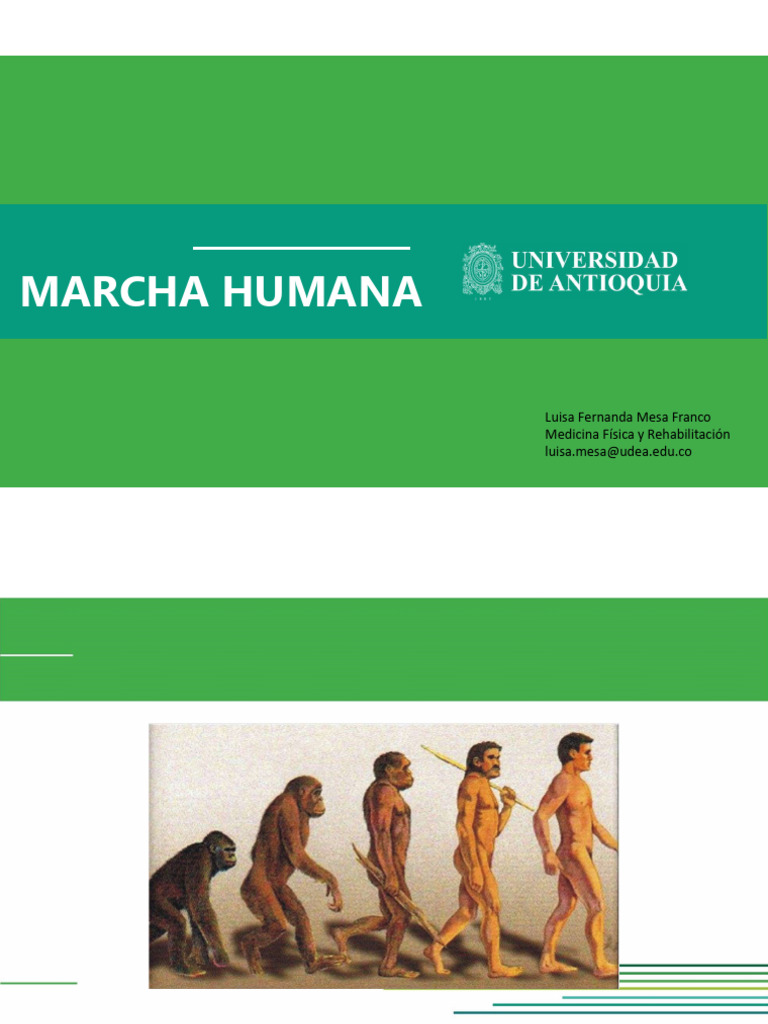 marcha 2024-2 | PDF | Pie | Rodilla