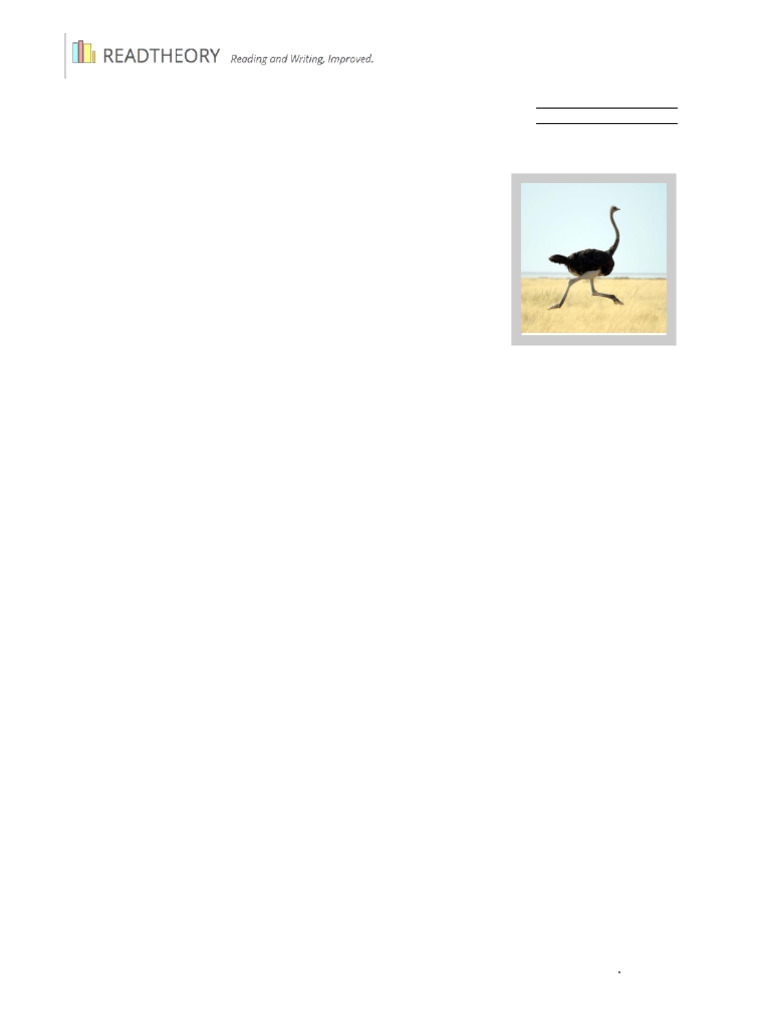 7th Grade Ostriches All | PDF | Chicken | Birds