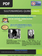 Mecanismo y Uso de Sulfas en Medicina | PDF | Tratamientos médicos ...