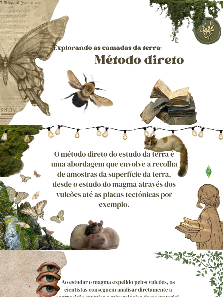 Método Direto - 20250110 - 202801 - 0000 | PDF