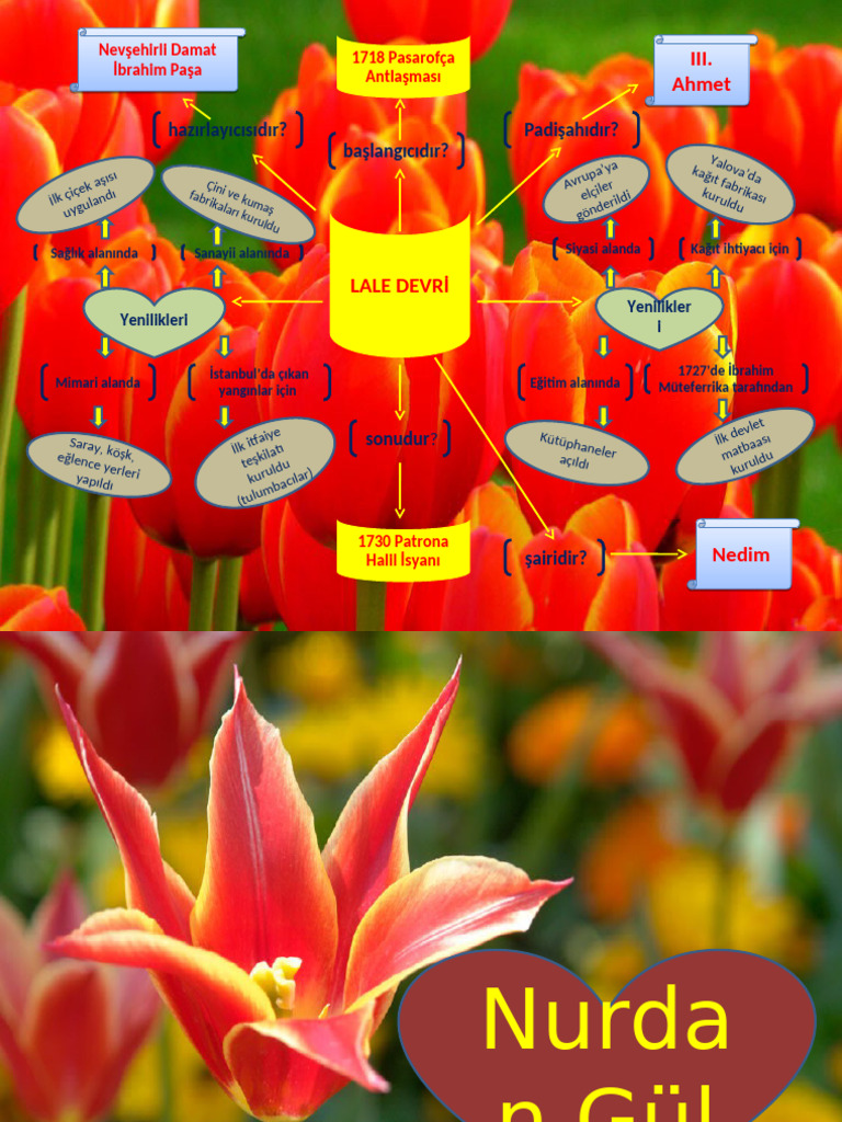 Lale Devri Kavram Haritasy | PDF
