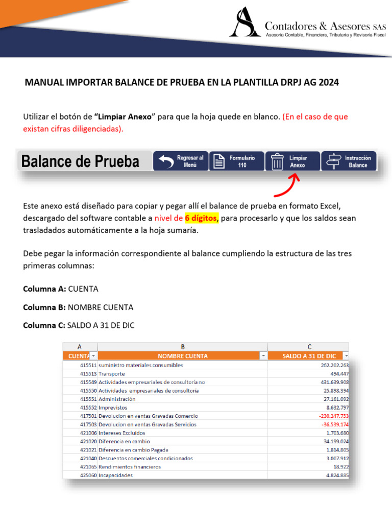 Importar Balance de Prueba en DRPJ AG 2024 | PDF | Contabilidad ...