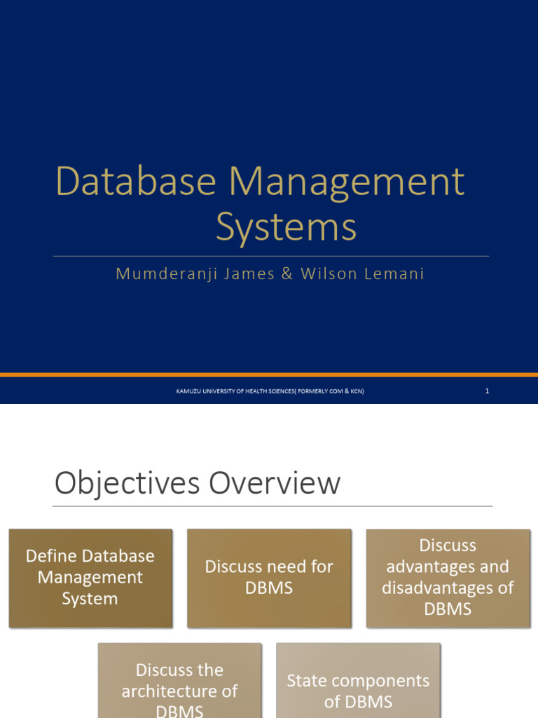 13 Database Management Systems 1 | PDF | Databases | User (Computing)