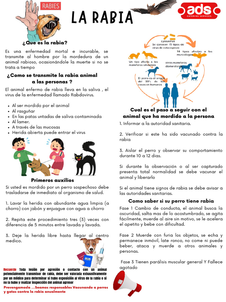 LA RABIA INFOGRAFIA | PDF | Rabia | Causas de la muerte