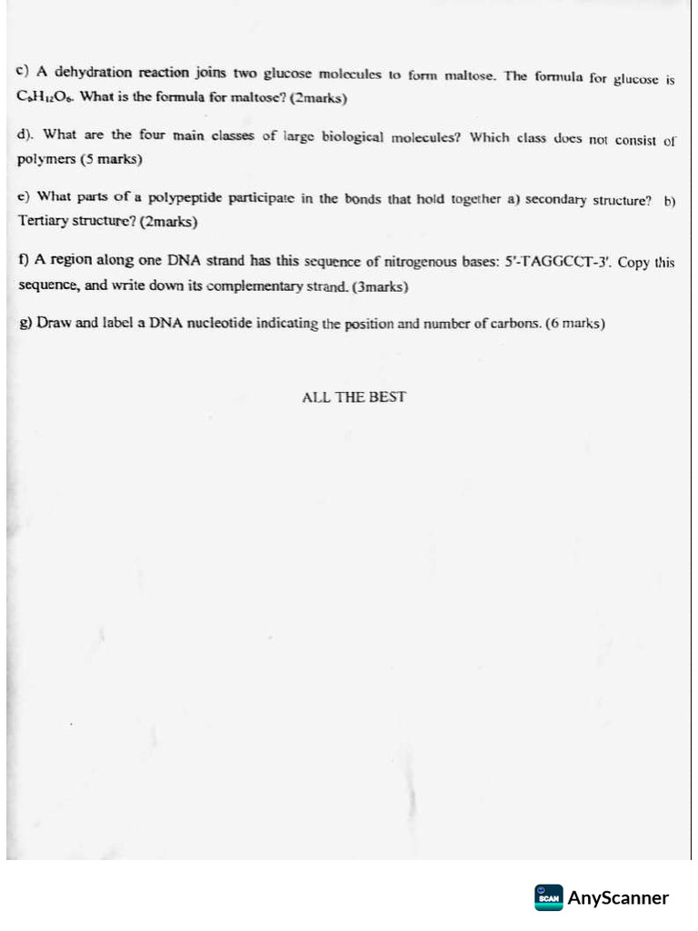 BI 110 Trial Questions | PDF