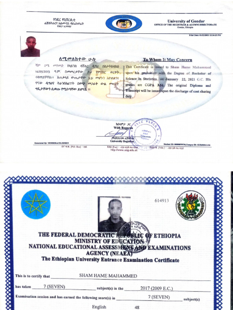 All Orginal Certificates | PDF