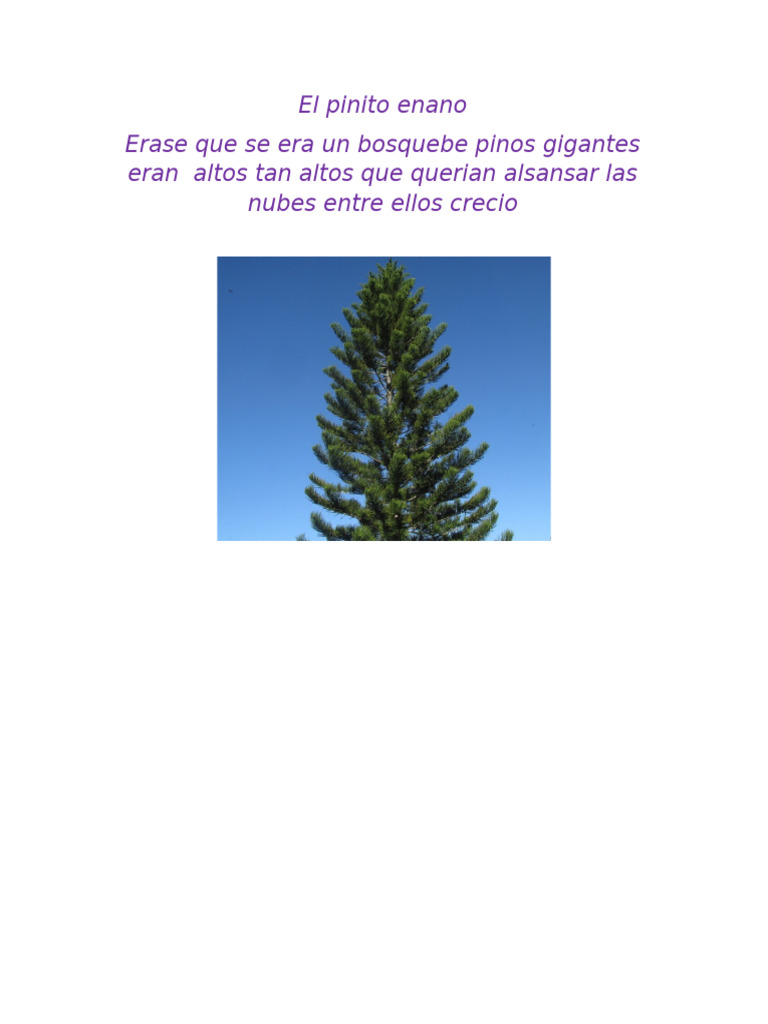 el pino | PDF