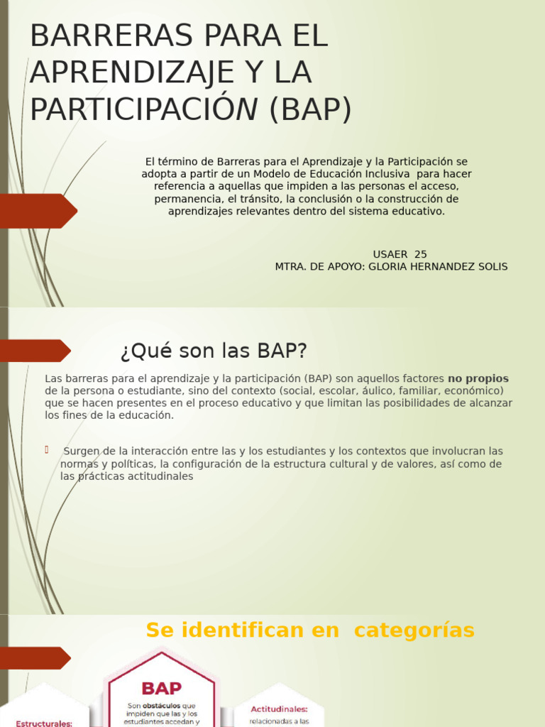 Barreras para El Aprendizaje y La Participación | PDF | Inclusión (Educación) | Aprendizaje