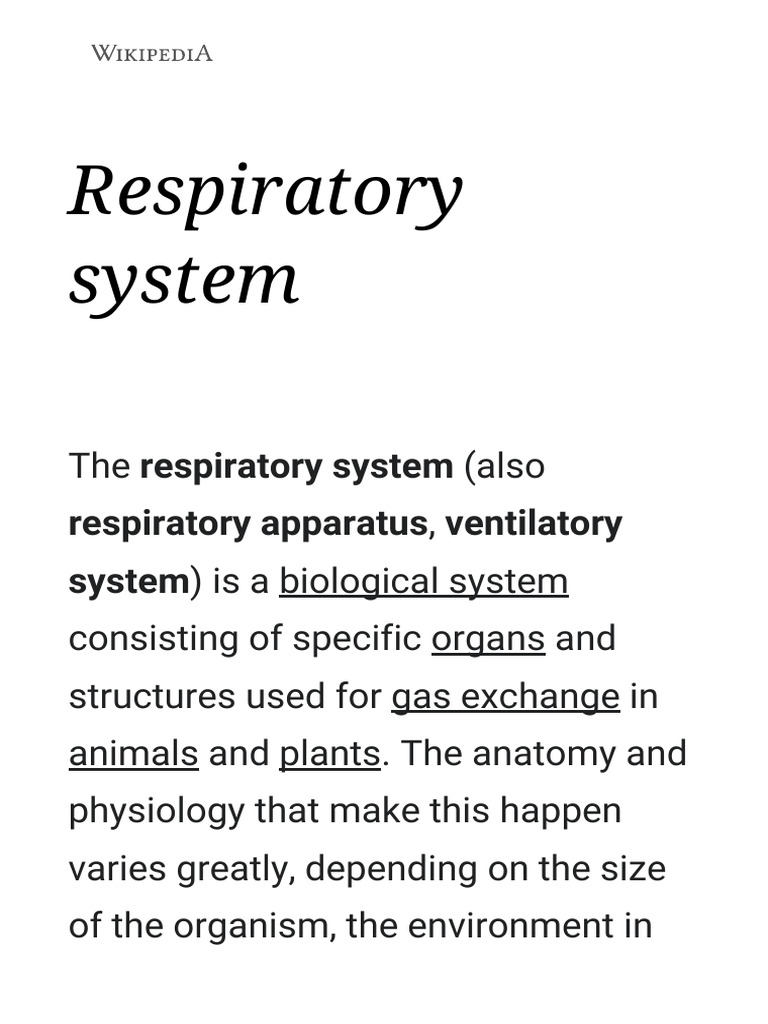 Respiratory System - Wikipedia | PDF | Respiratory System | Breathing