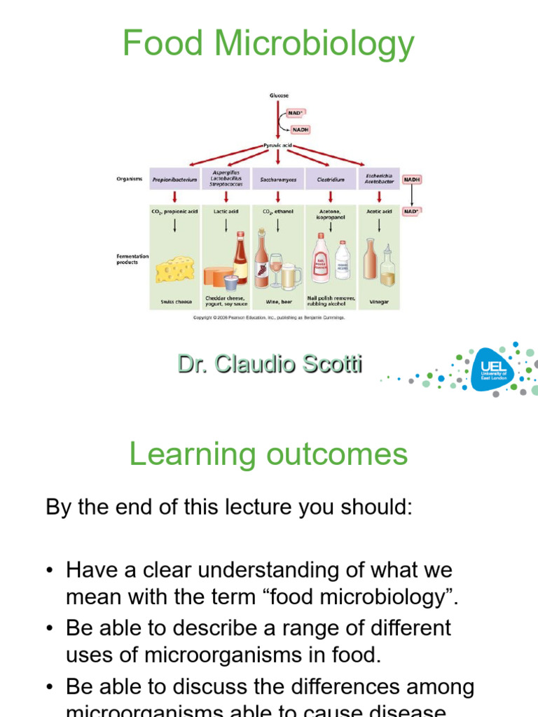 Food Microbiology Overview by Claudio Scotti | PDF | Yeast | Probiotic