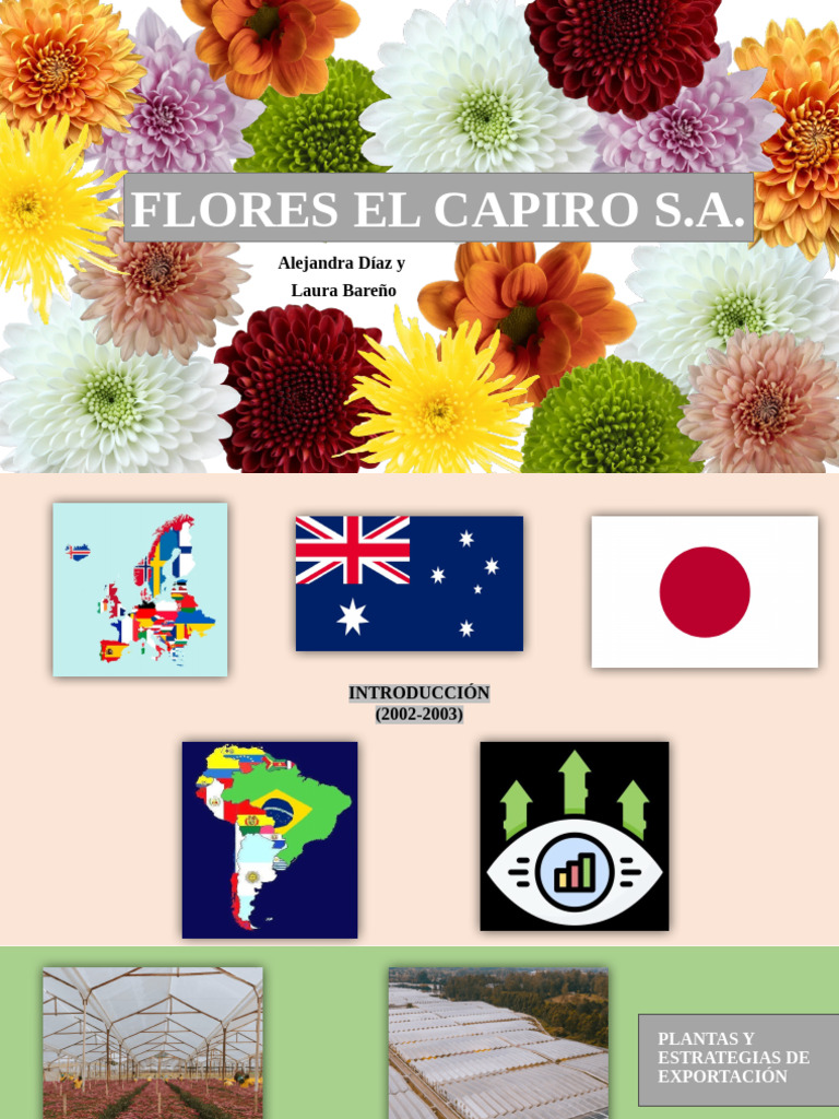Flores El CAPIRO S.a, Díaz y Bareño | PDF